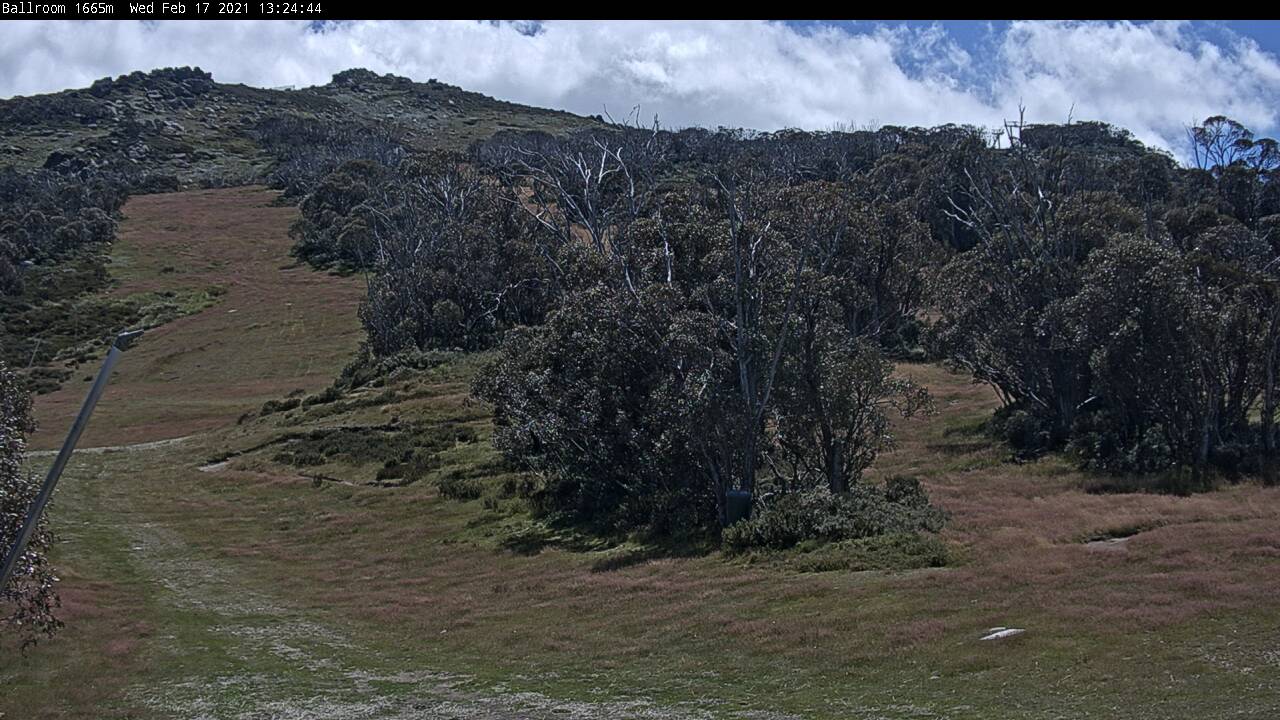 Live Snow Cams - NSW - Snowatch